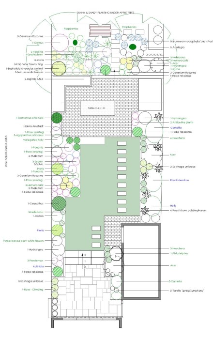 Breeze Garden Design - Garden with lawn for a plant lover, Ealing, West ...