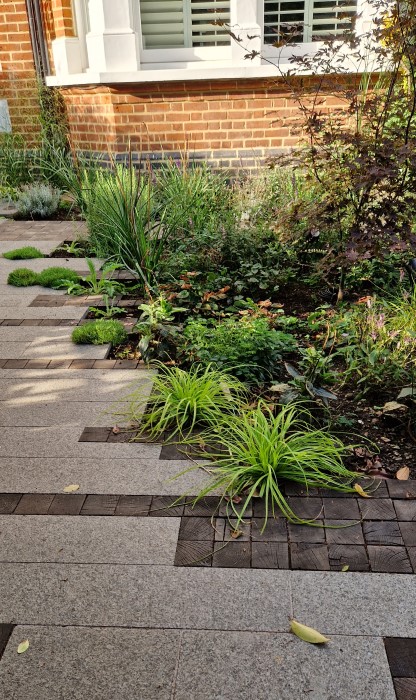 Breeze Garden Design - Front Garden, Acton, London